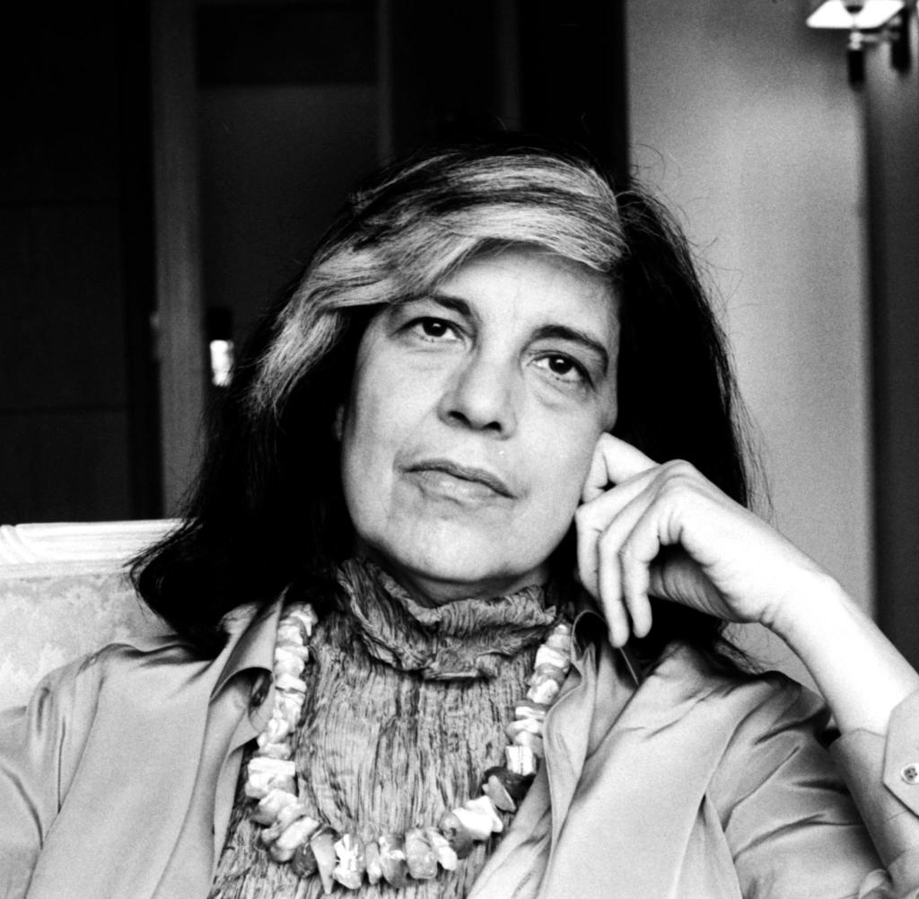 Sontag, Susan - Arcadia